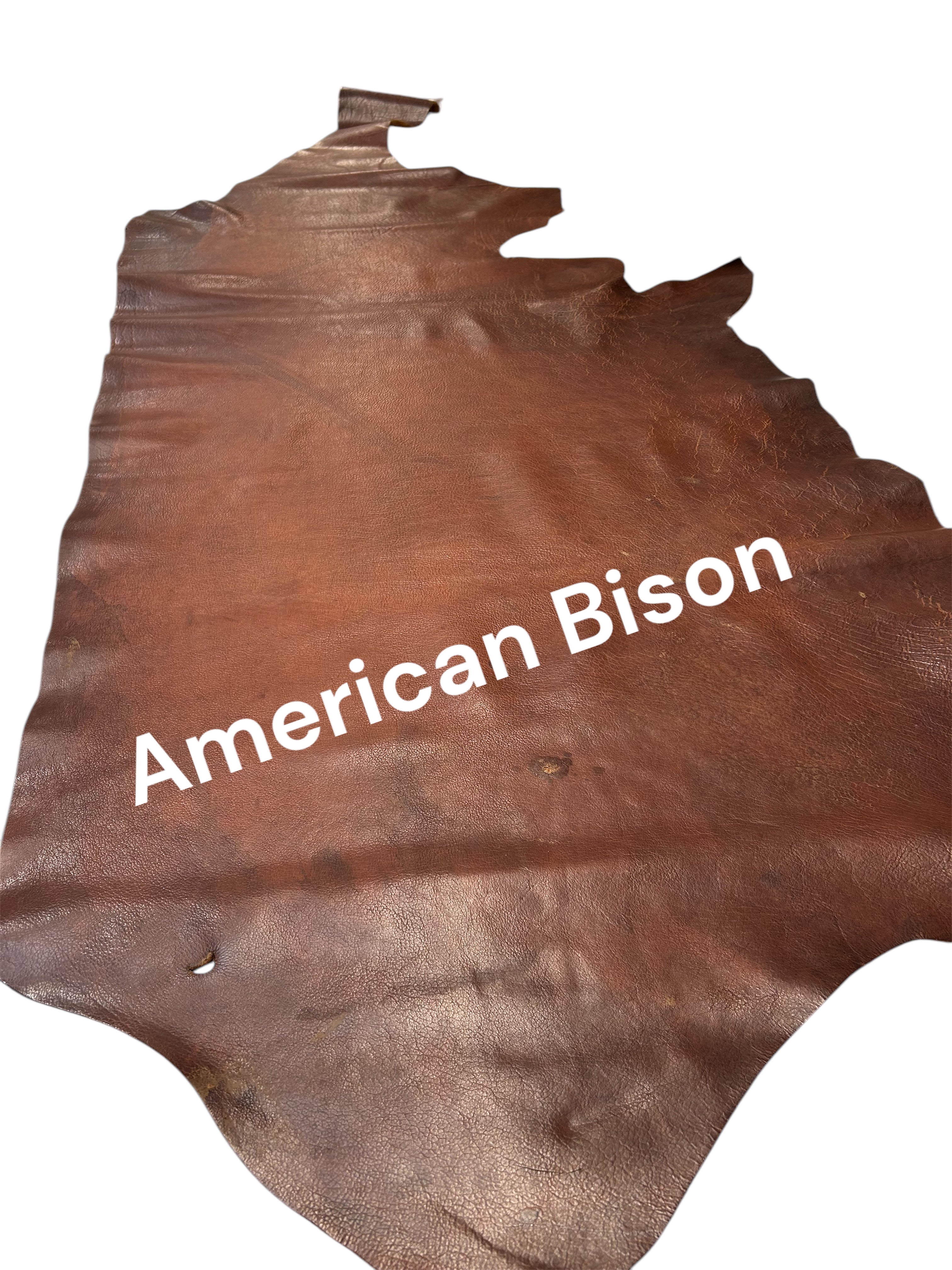 Bison sides – Traditions Leathercraft LLC