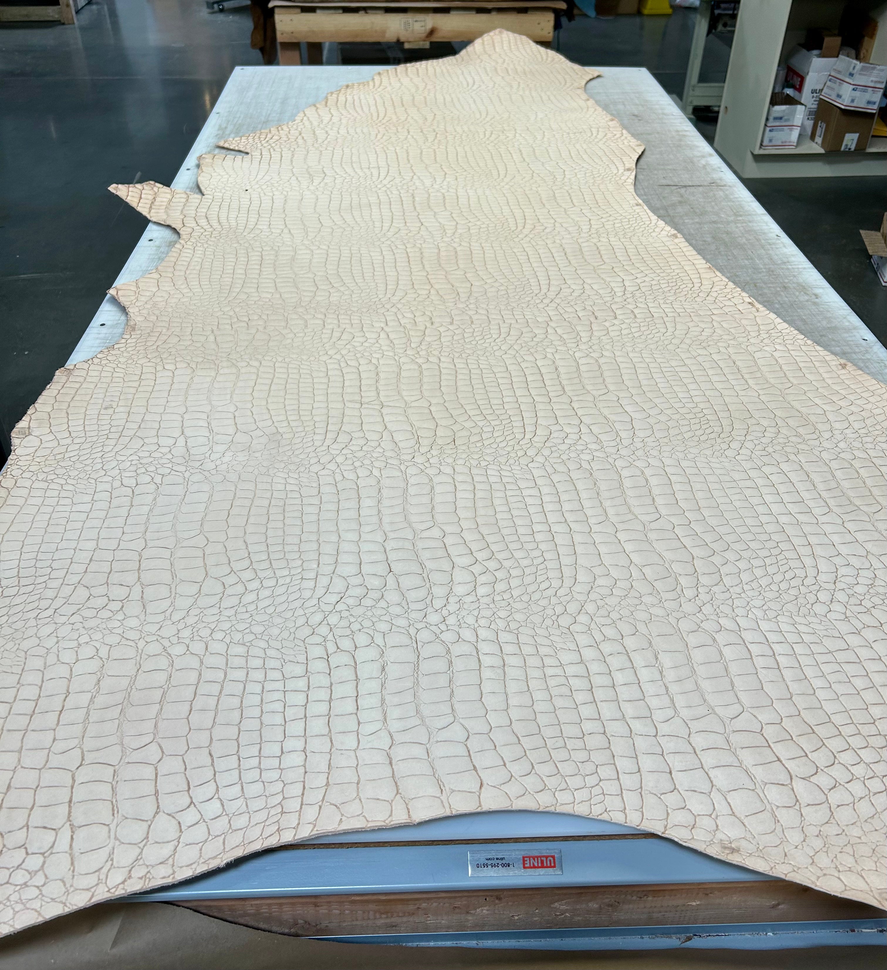 Embossed Gator 6-7 oz – Traditions Leathercraft LLC